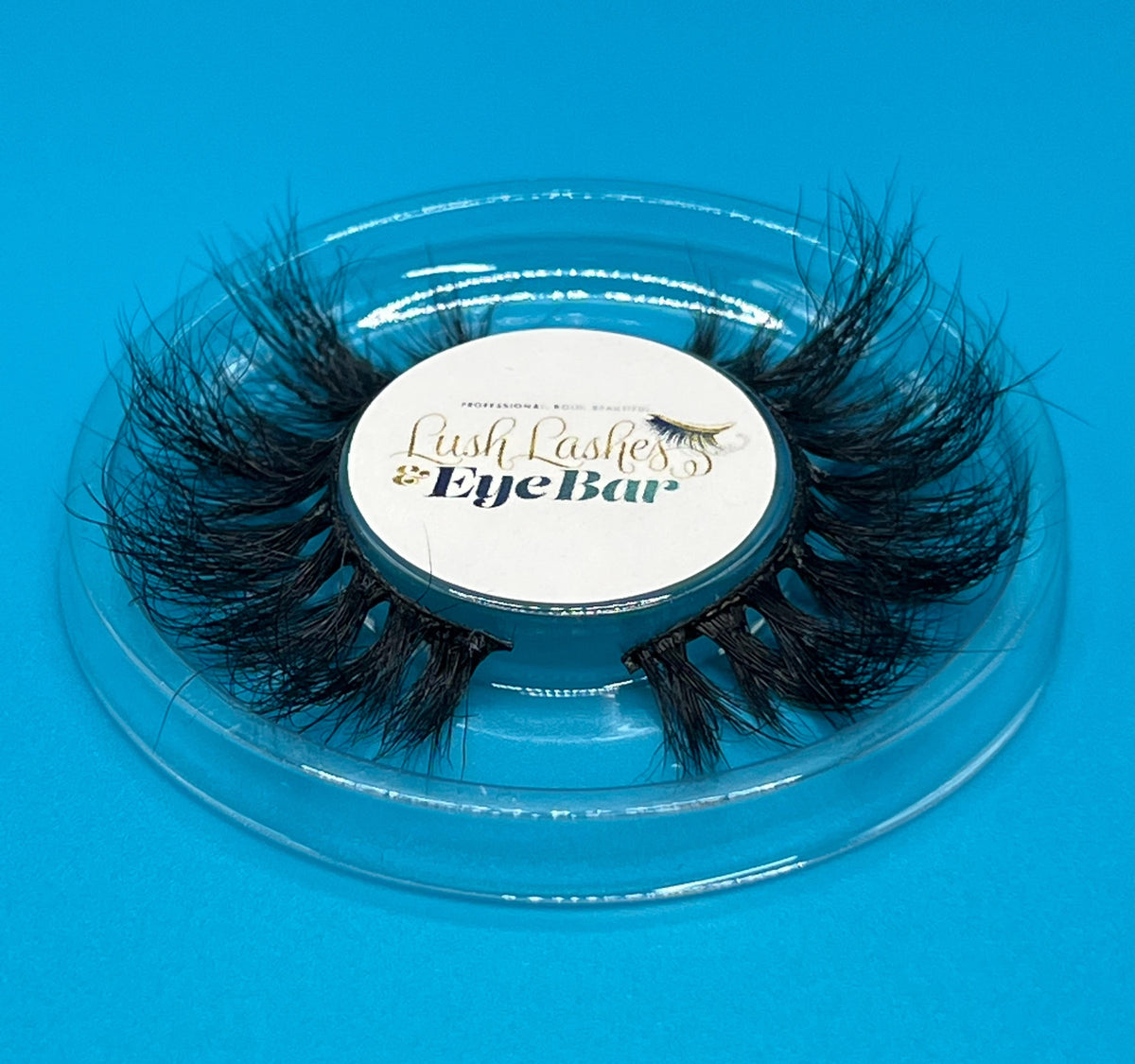 Hollywood Eyelash Strips – Lush Lashes & Eye Bar